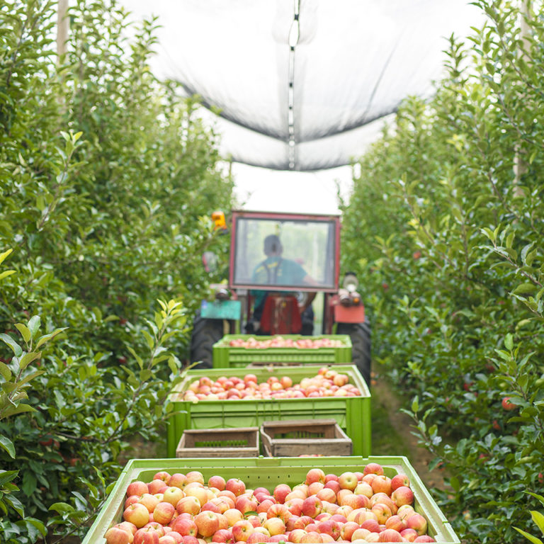 Die WIIT Gruppe - WIIT