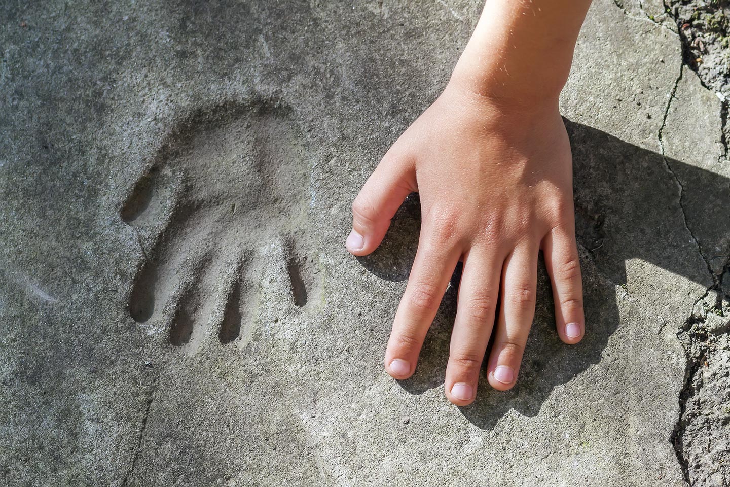 Digital Signing - WIIT